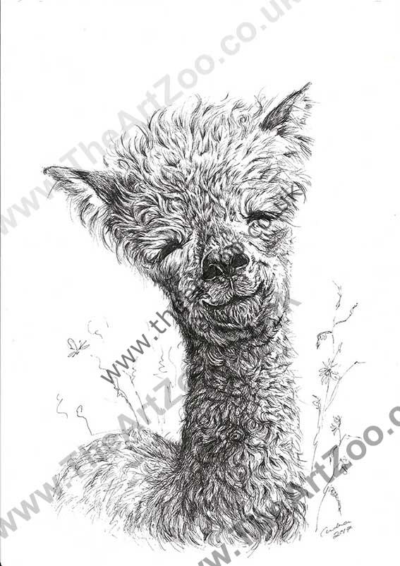 'Little Al' – TheArtZoo